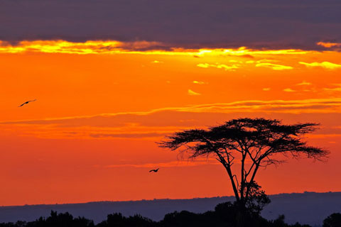 Кенія - дивовижна країна на екваторі | Український тиждень